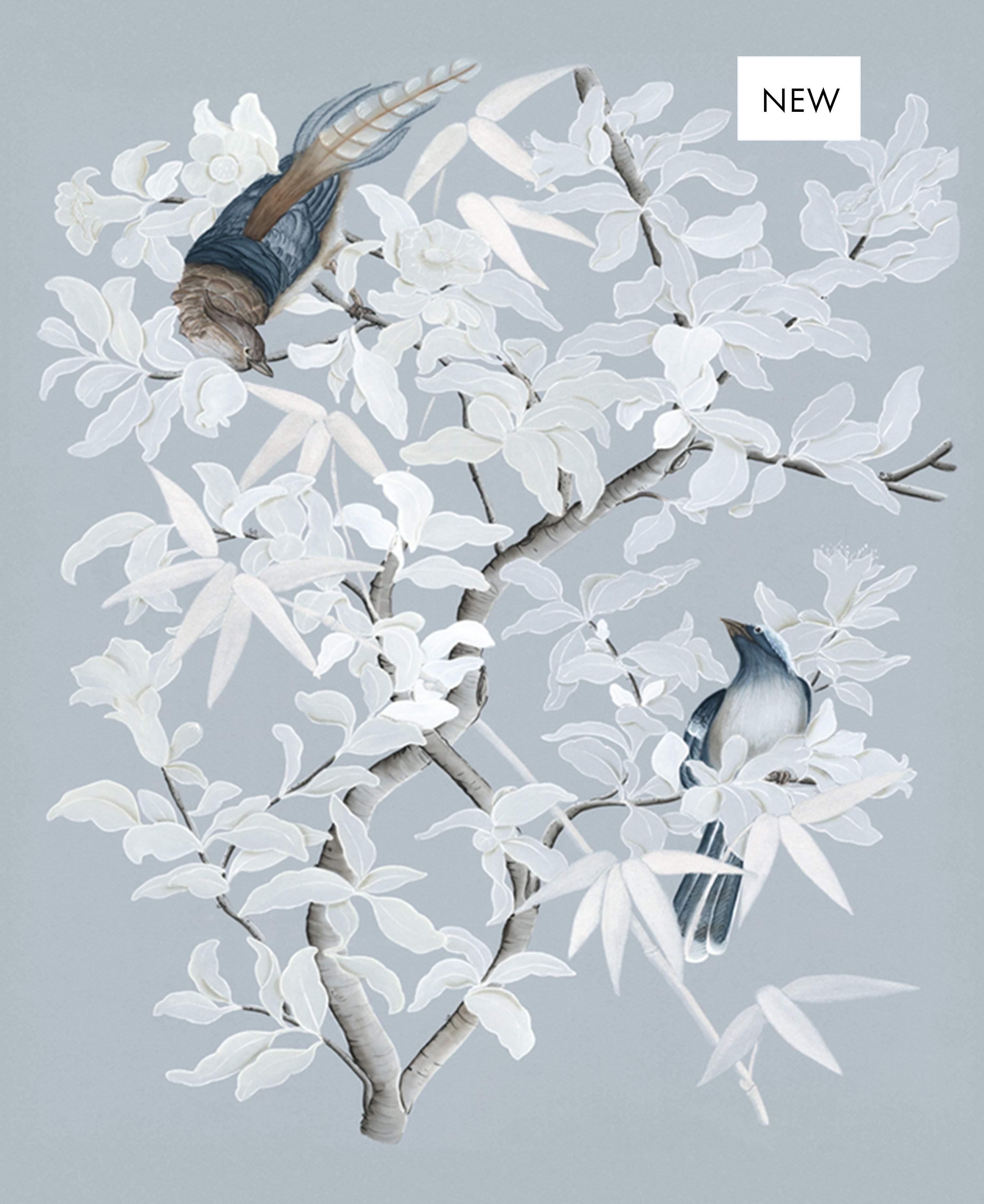 Alsatian Blooms Collection | Designer Boys