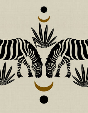 Zaza Collection | Designer Boys