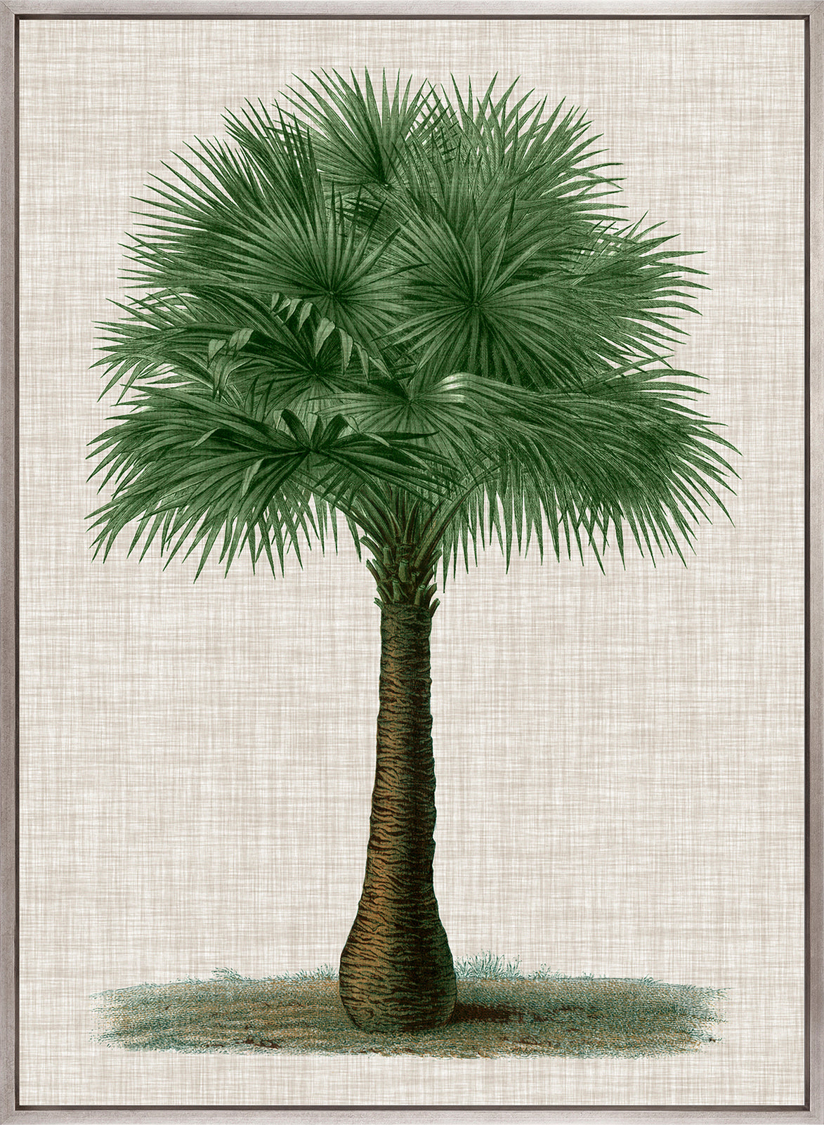 St Aman Palm VI Framed Canvas Art | Designer Boys