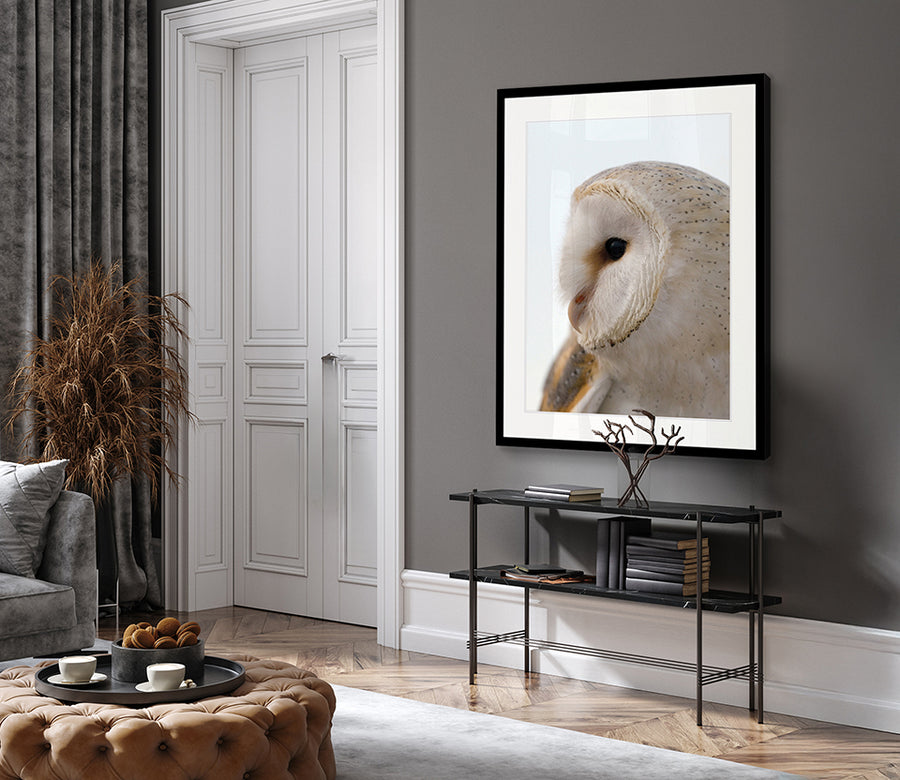 Exquisite Owl VI Framed Art Print | Designer Boys